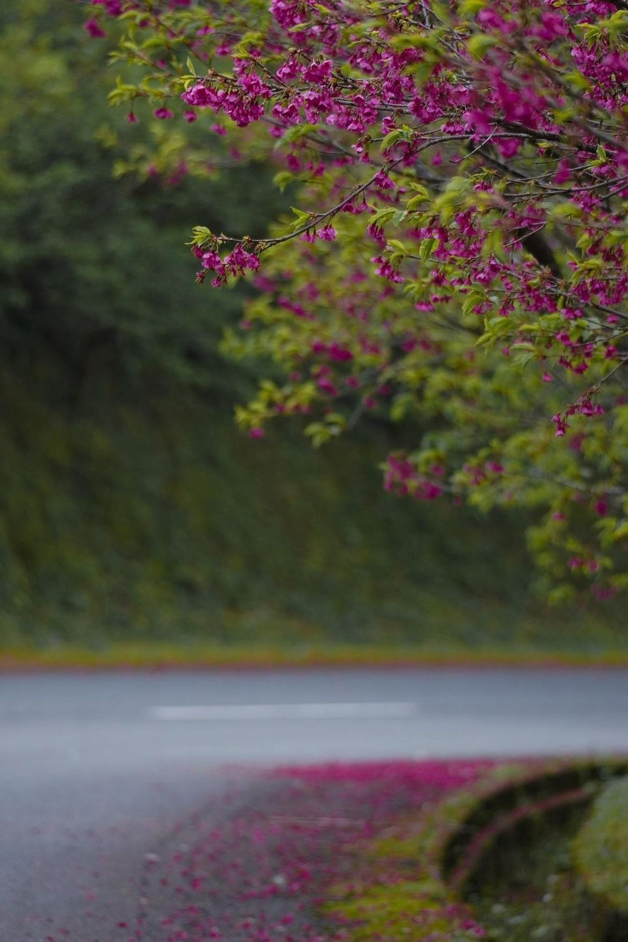 Best Small Lenses for the Sony a6700 - Compact Shooter