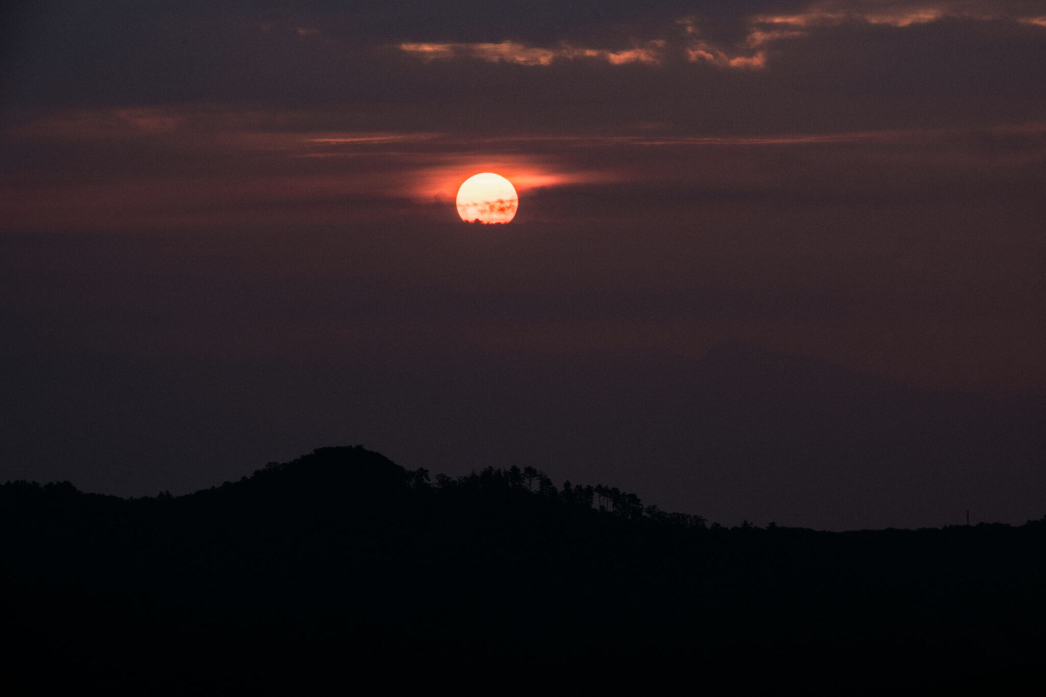 The Complete List of Nikon Z Mount DX lenses (APS-C) - Compact Shooter